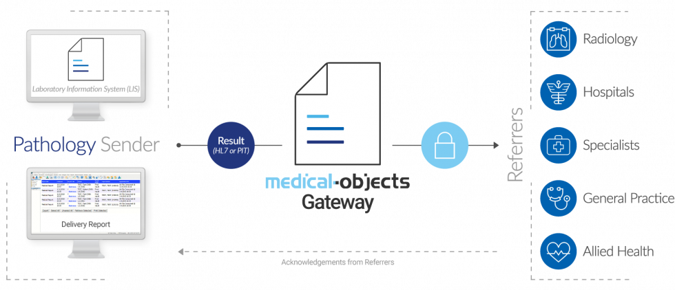 Pathology Solutions - Medical-Objects